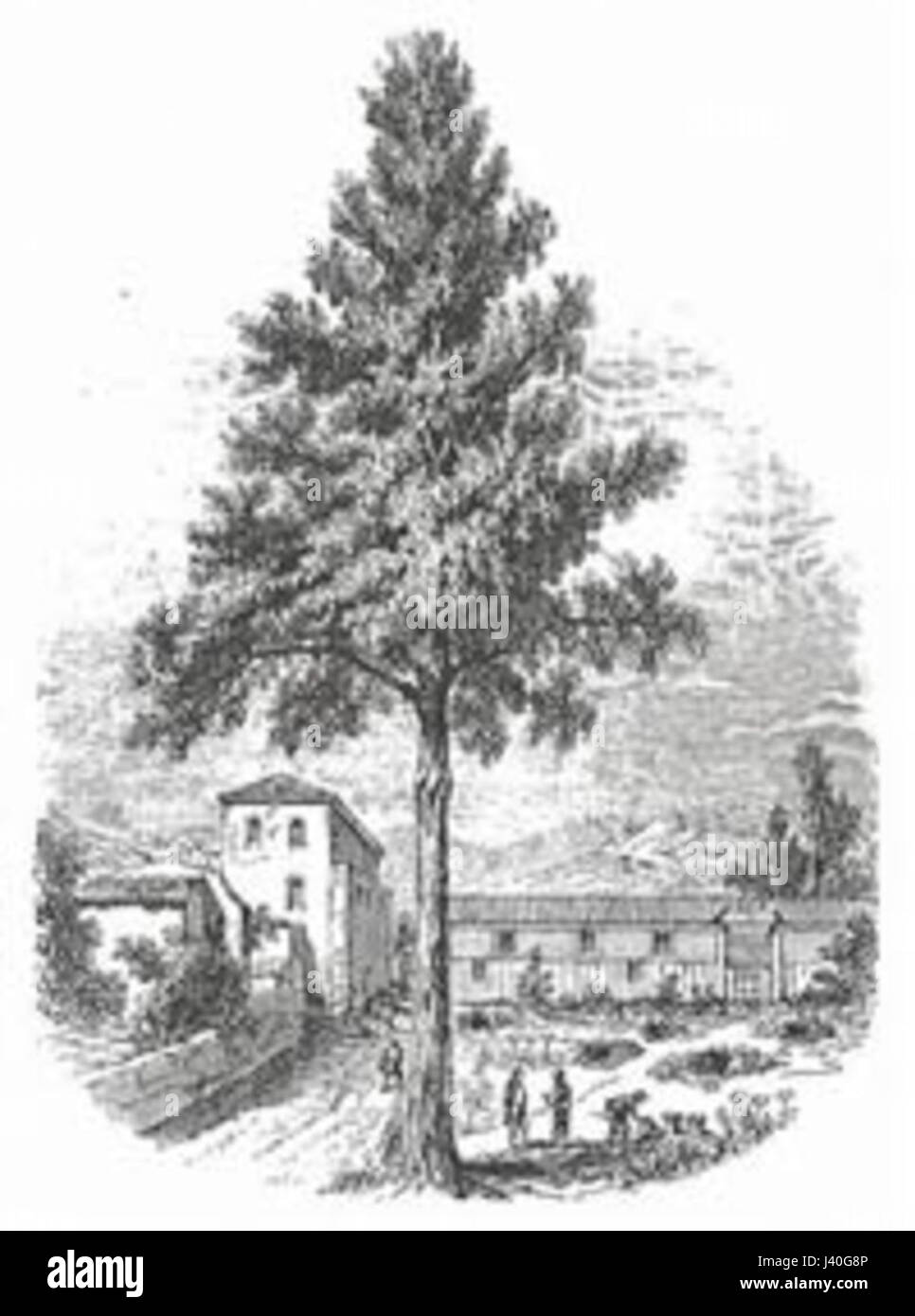 Depiction area Cut Out Stock Images & Pictures - Alamy