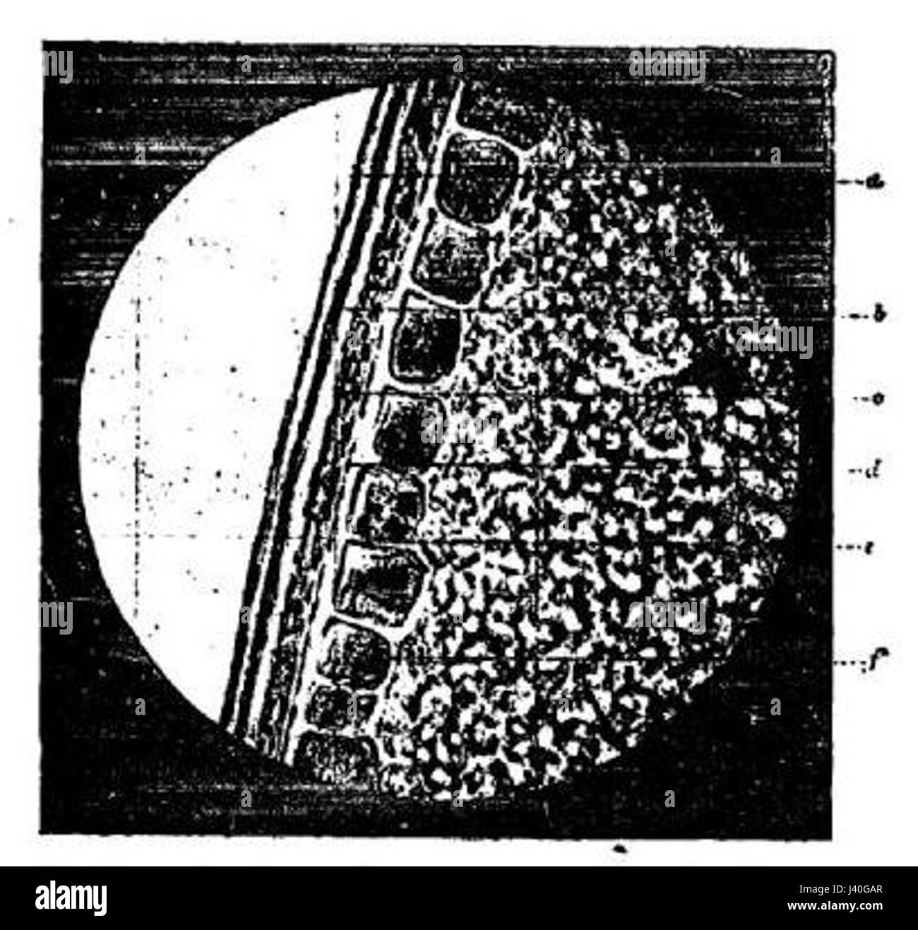 Bread production process Cut Out Stock Images & Pictures - Alamy
