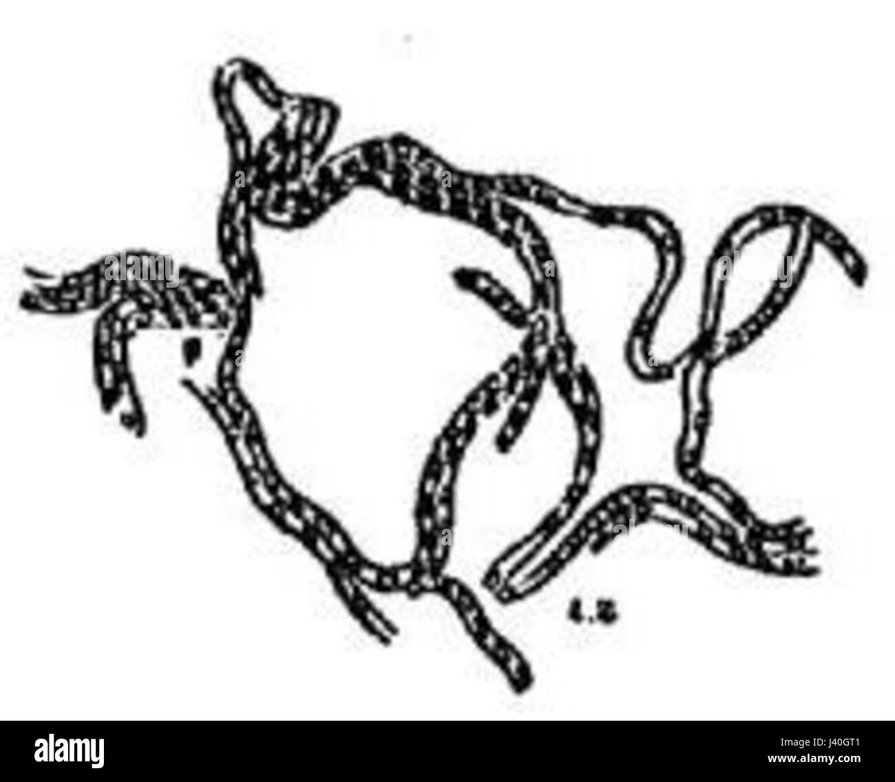 French techniques Cut Out Stock Images & Pictures - Alamy