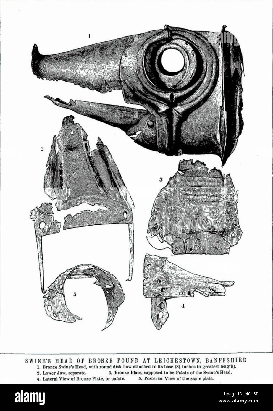 Carnyx drawing hi-res stock photography and images - Alamy