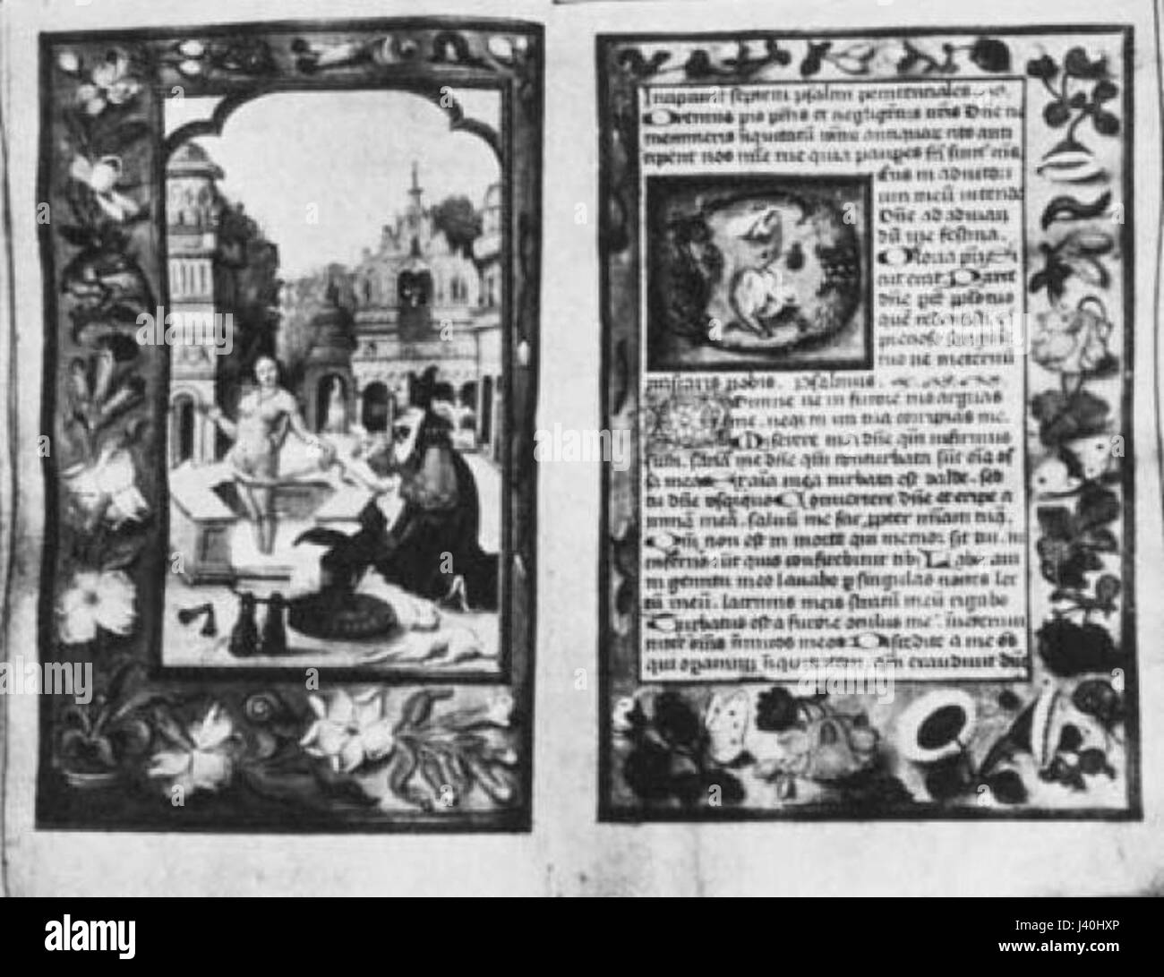 The liber Black and White Stock Photos & Images - Alamy