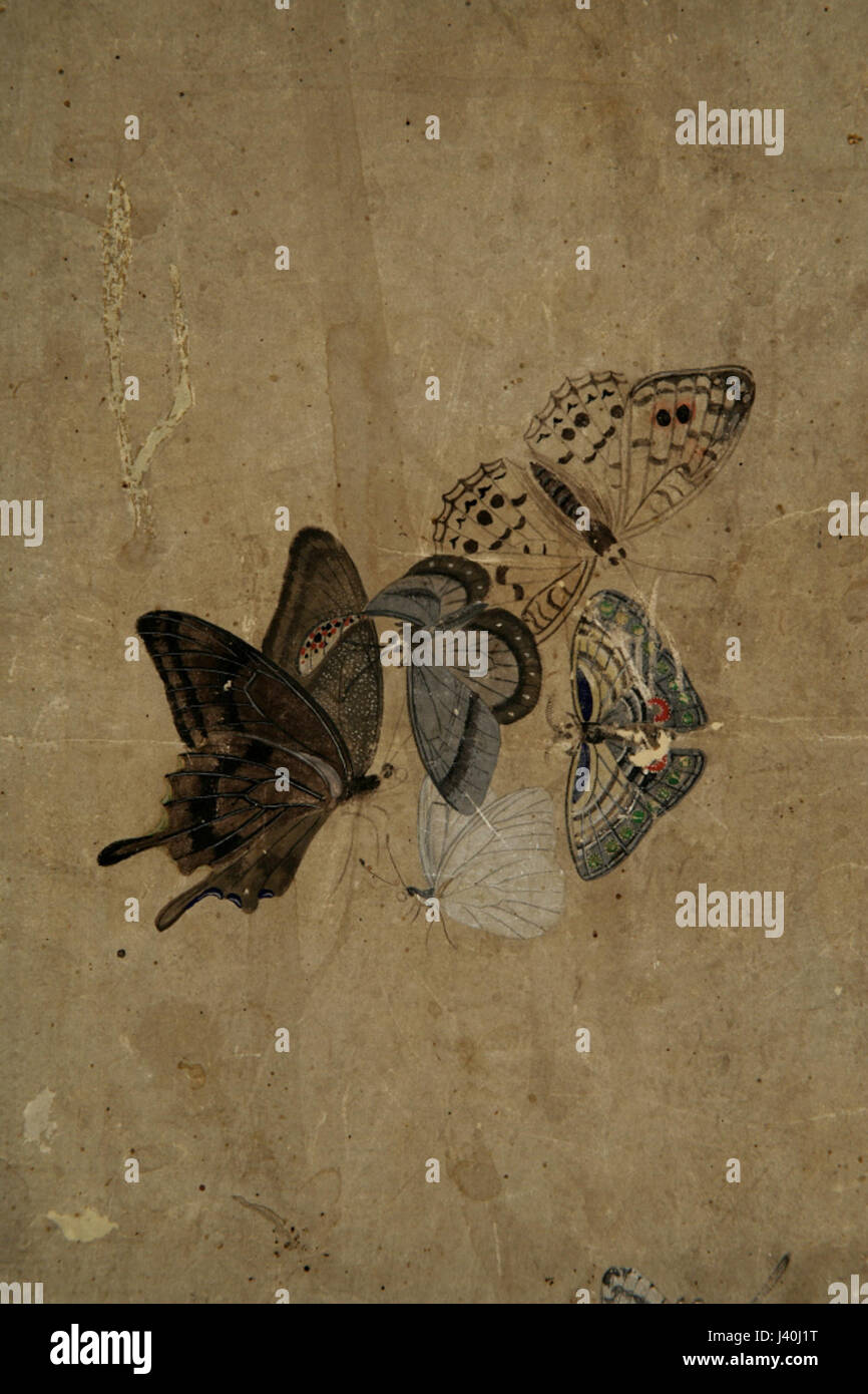 The Joseon Moran.Hojeopdo is a traditional Korean painting depicting ...