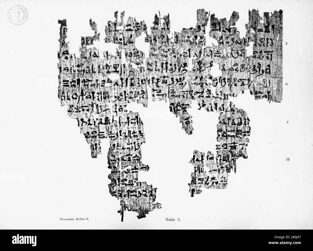 London medical papyrus hi-res stock photography and images - Alamy