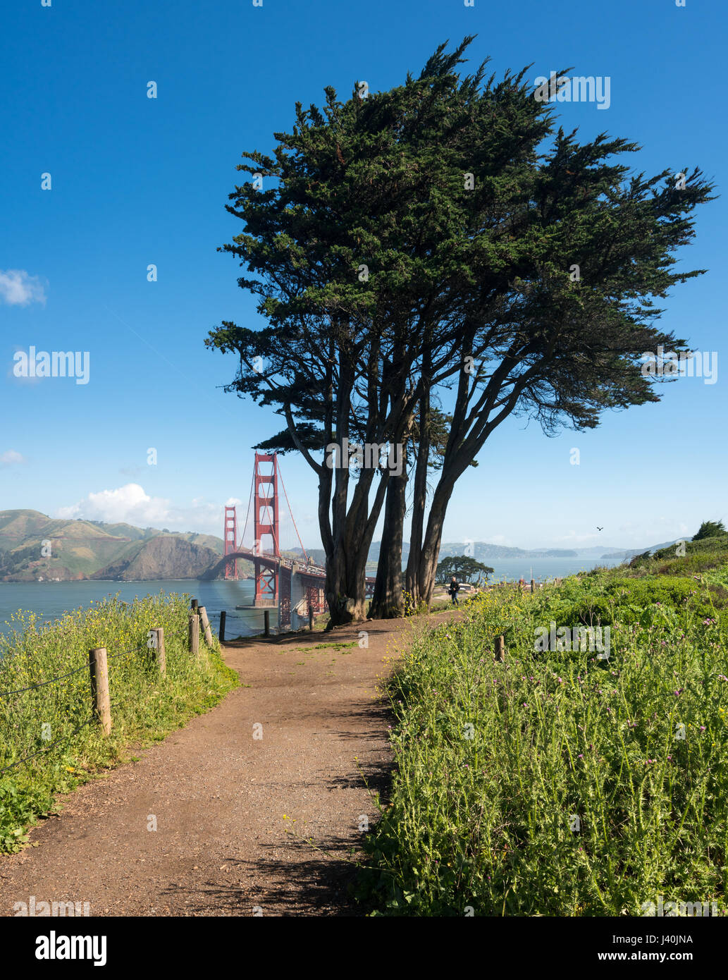 Marin Headlands and Golden Gate Bridge from state park Stock Photo - Alamy