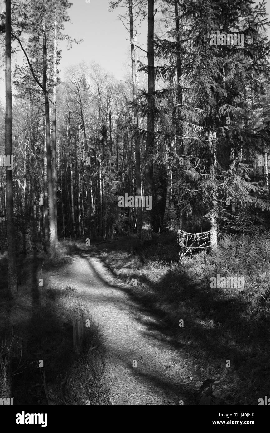 Picturesque pathway hi-res stock photography and images - Alamy