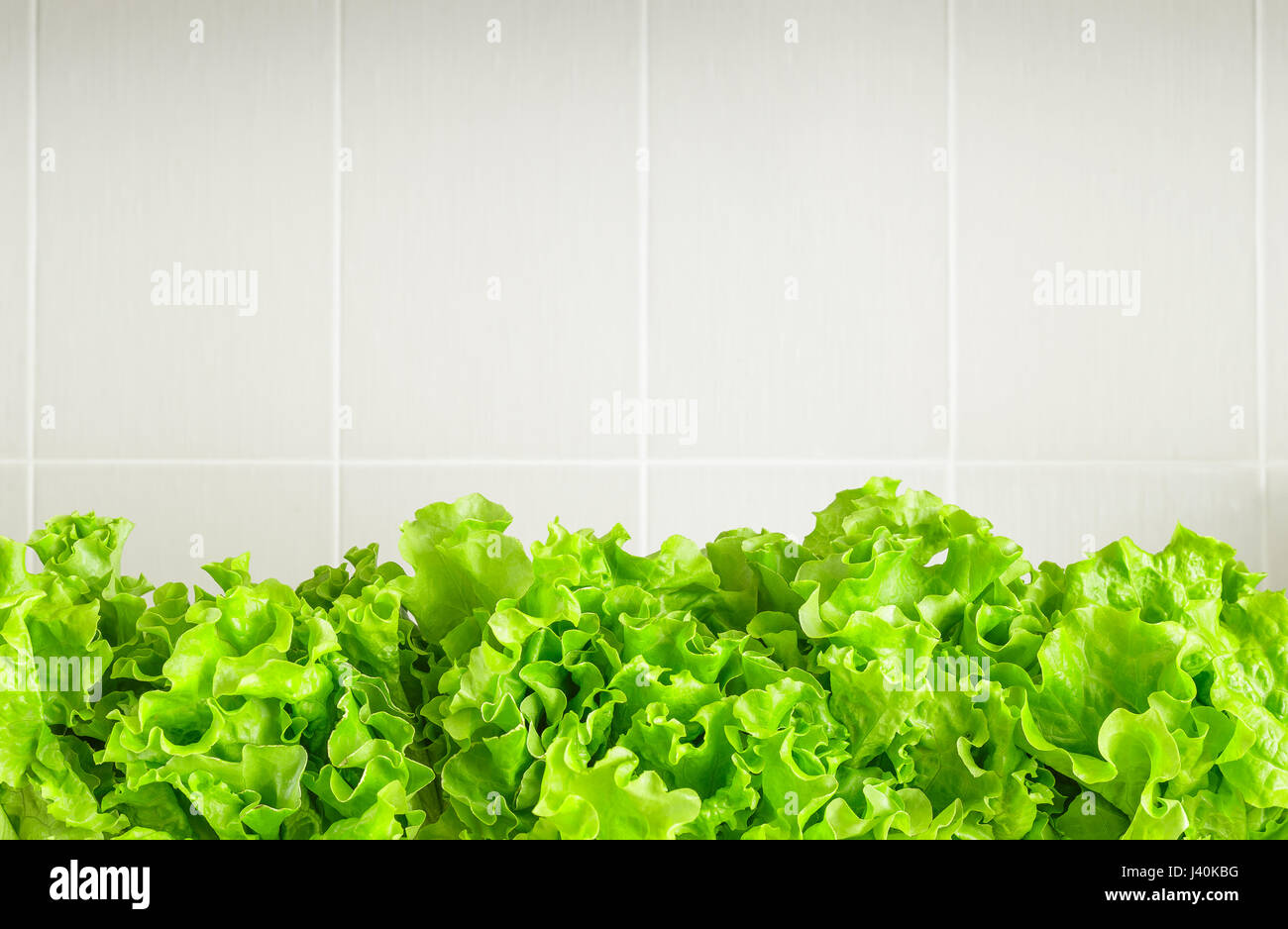 Fresh lettuce leaves border over grey ceramic kitchen backsplash ...