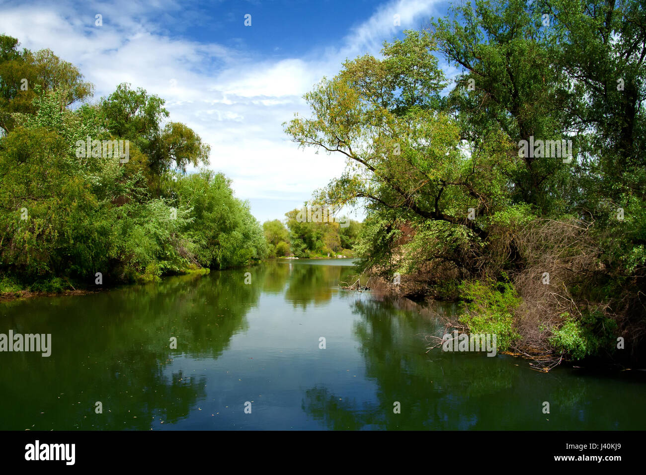 channel landscape in Danube Delta on blue sky with clouds Stock Photo ...