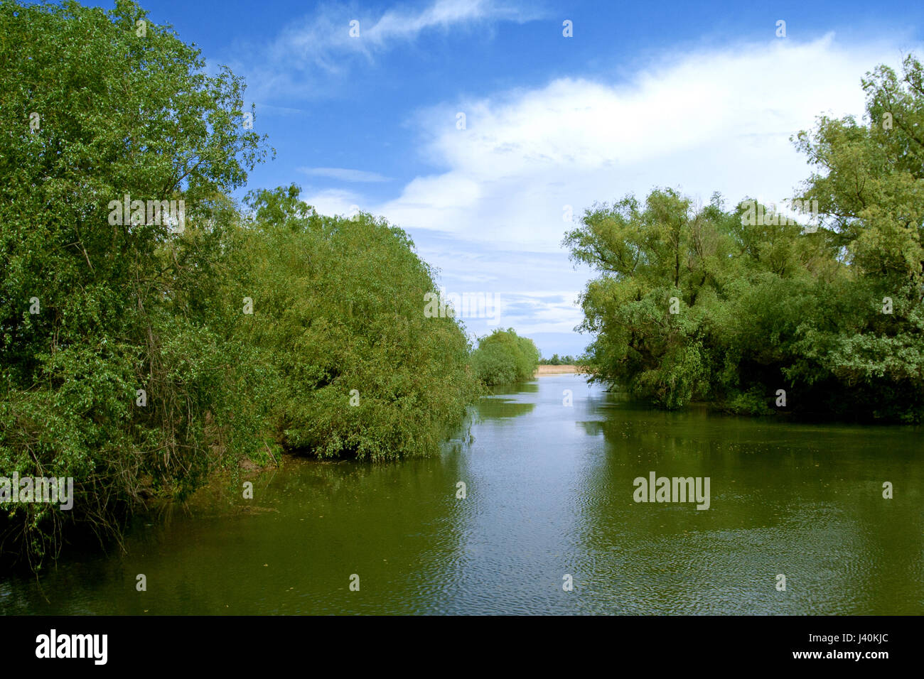 channel landscape in Danube Delta on blue sky with clouds Stock Photo ...