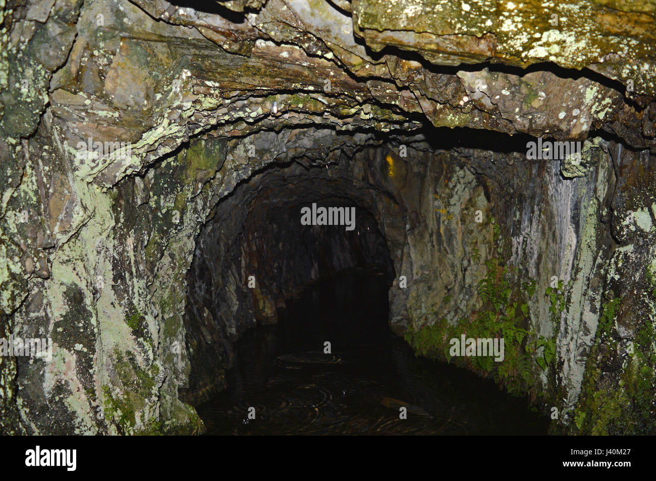 Watkin Path Snowdonia Stock Photo - Alamy