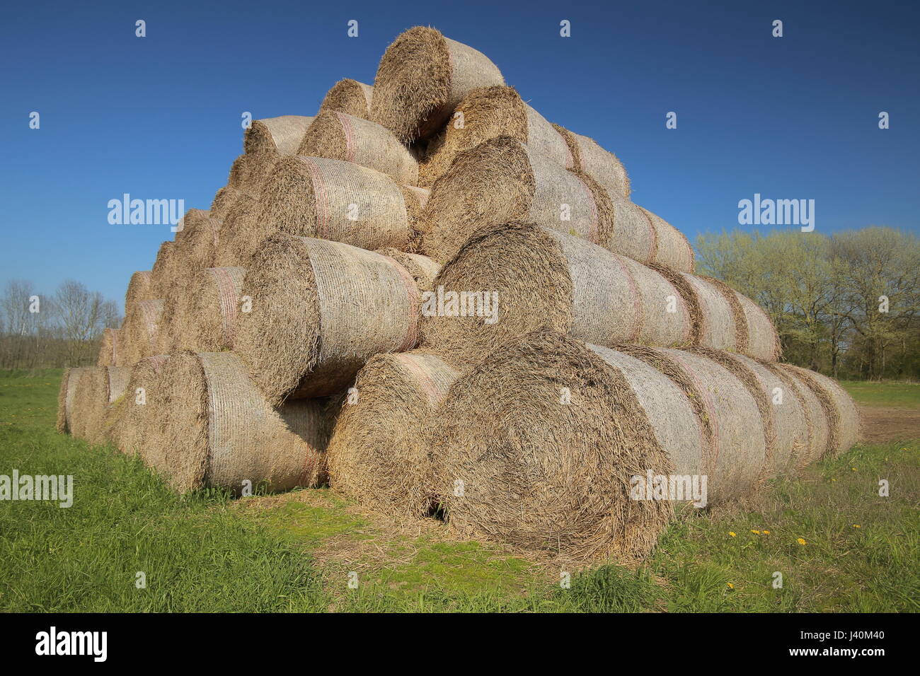 Heap of hay bales in warm sunlight Stock Photo - Alamy