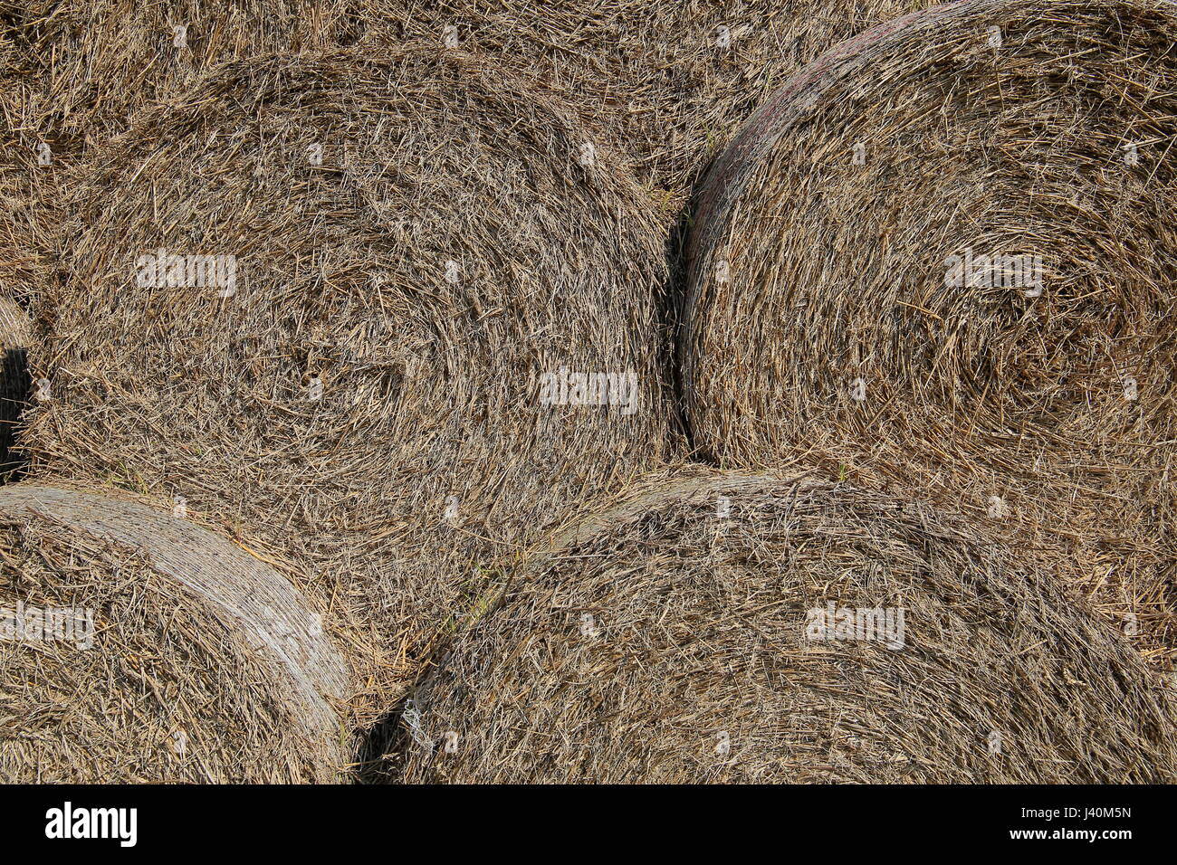 Image of heap of hay bales usable as background Stock Photo - Alamy