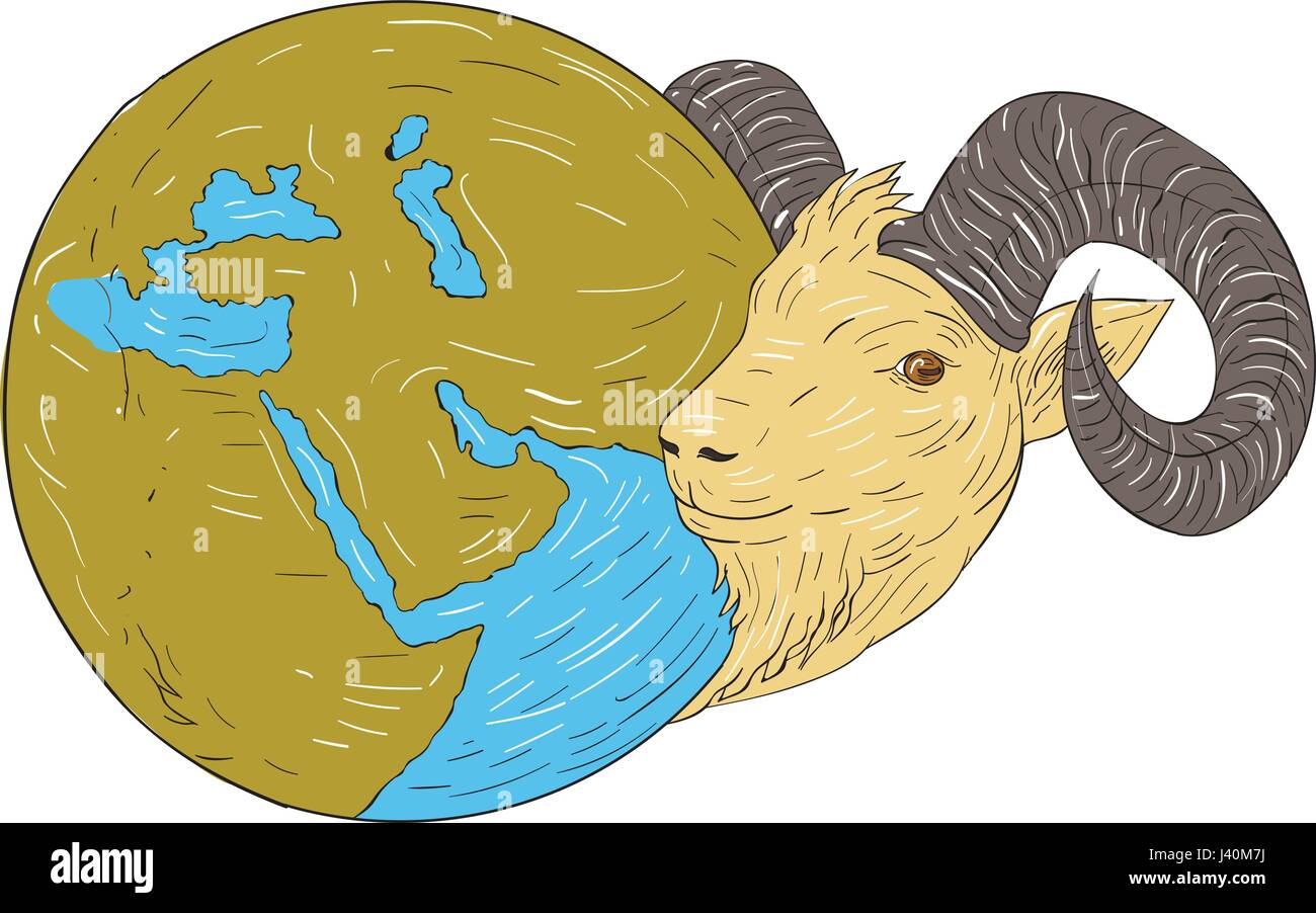 Drawing sketch style illustration of a ram head looking to the side ...