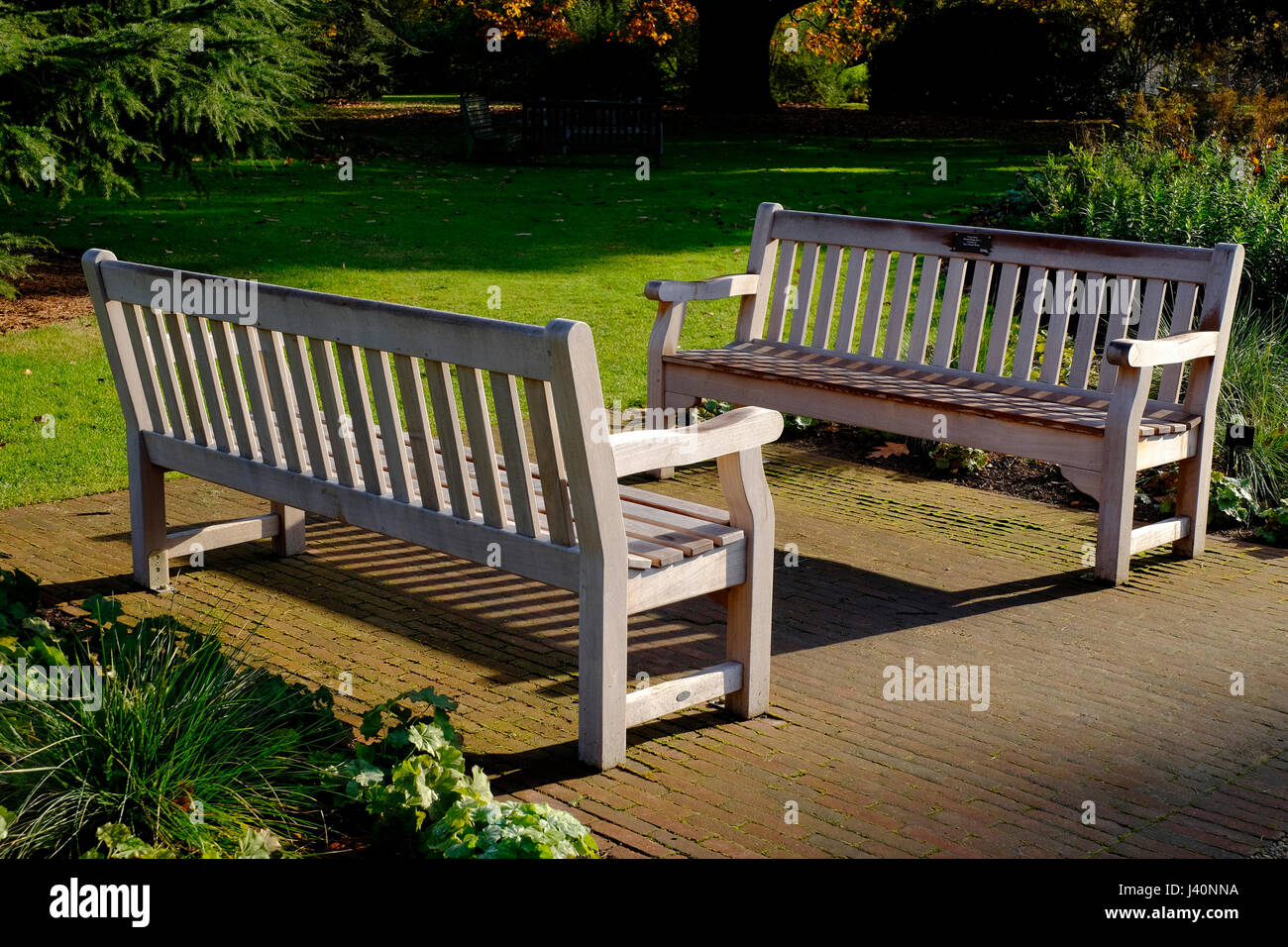 Europe, UK, England, London, Kew Gardens benches Stock Photo - Alamy