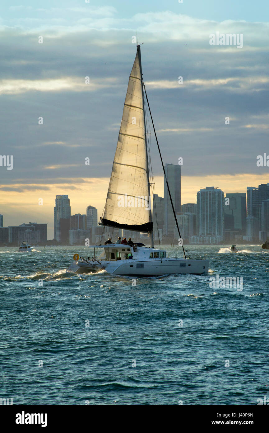 Sail boat in Miami Beach harbor Stock Photo - Alamy