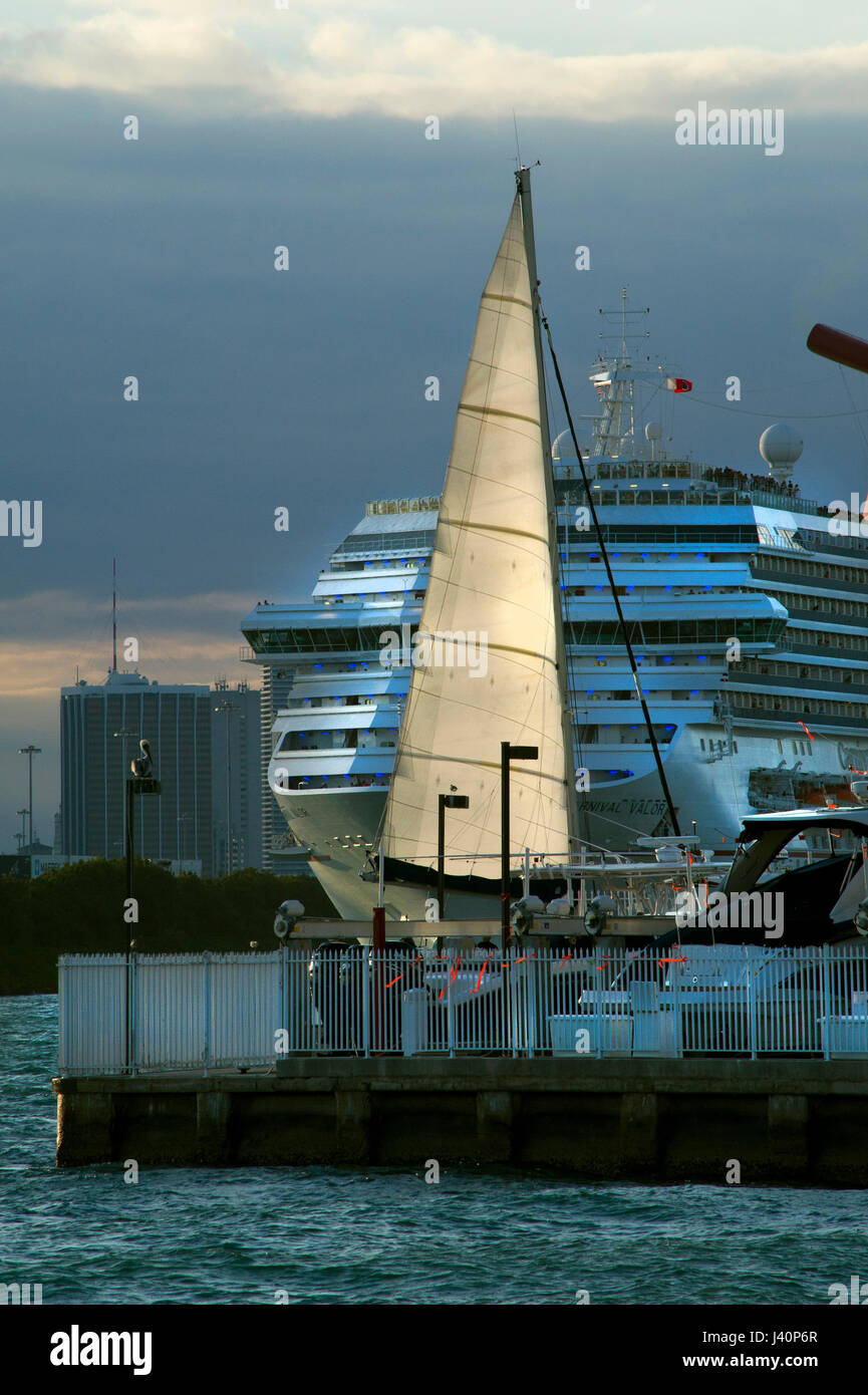 Sail boat in Miami Beach harbor Stock Photo - Alamy
