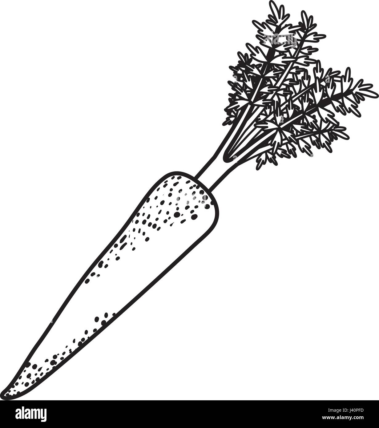 black silhouette of carrot with stem and leaves Stock Vector Image ...