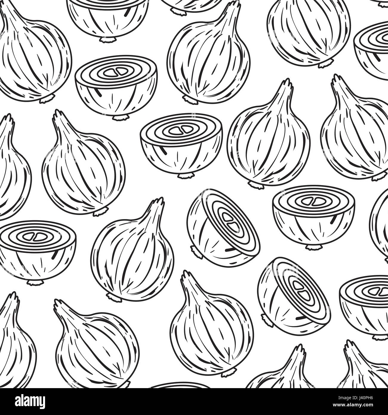 black silhouette with pattern of onions Stock Vector Image & Art - Alamy