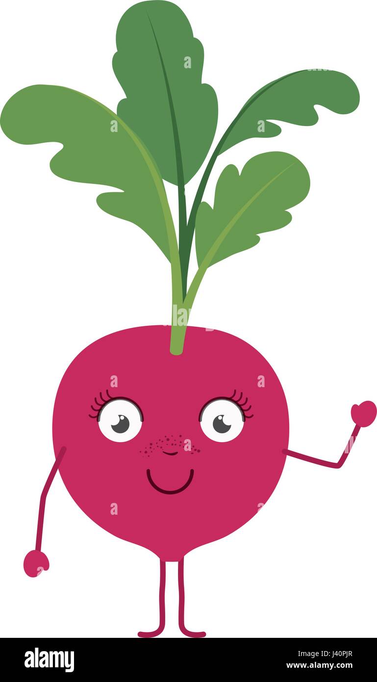 white background with cartoon of beet with leaves Stock Vector Image ...