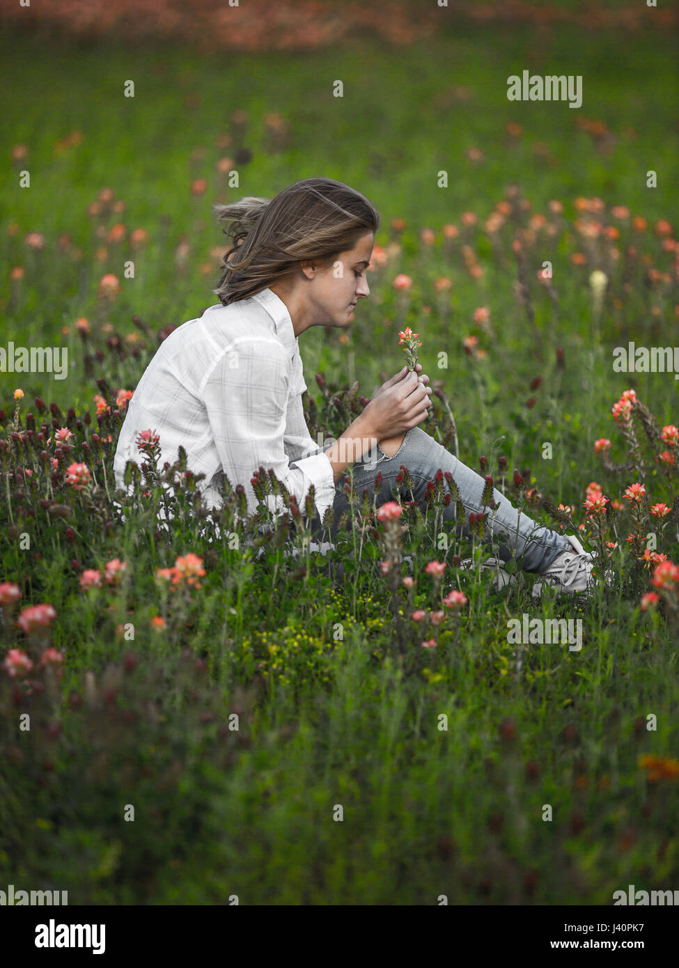 teenage girl sitting in field of blooming flowers Stock Photo - Alamy