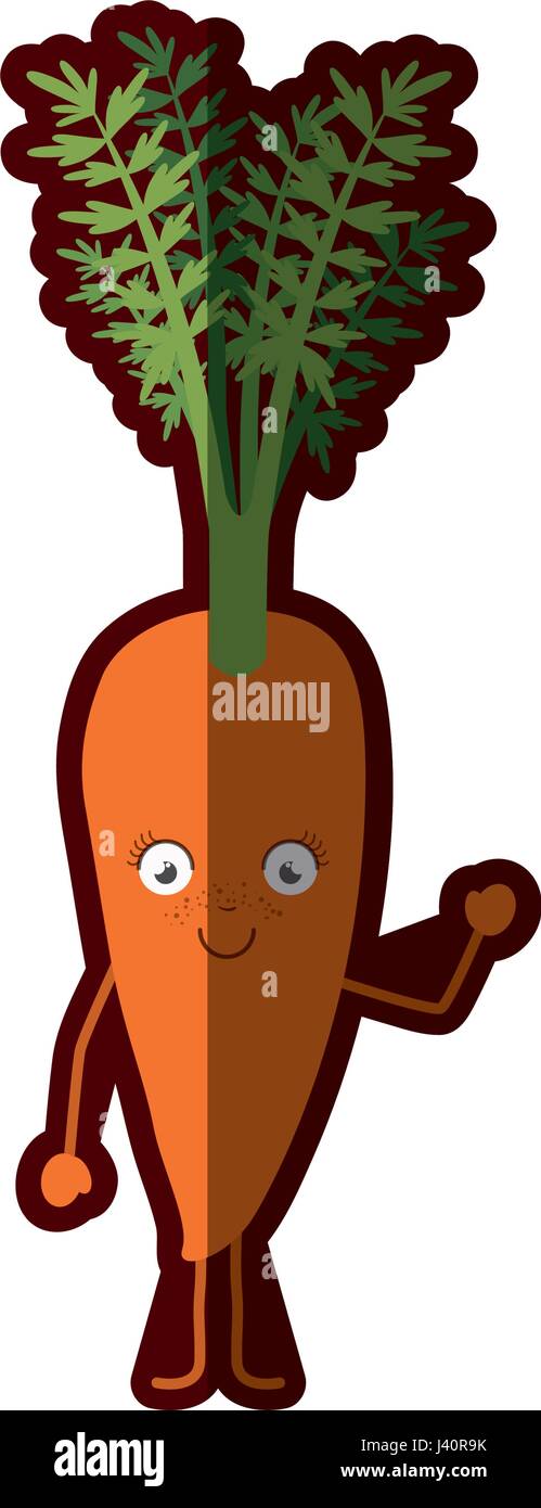 white background with carrot cartoon with half shadow Stock Vector ...