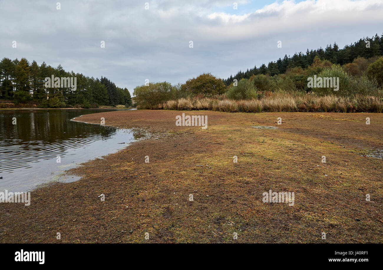 All rights reserved Stock Photo - Alamy