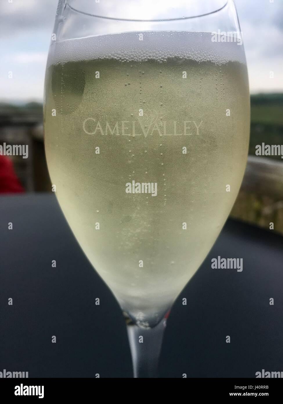 Camel Valley Wine Stock Photo - Alamy