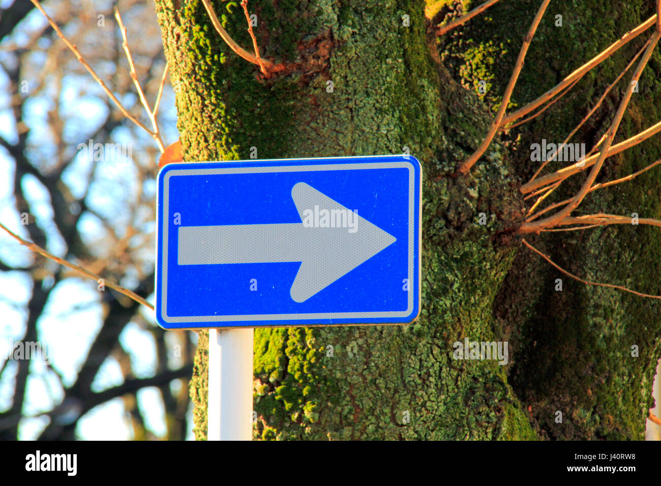 One way Sign in Fuchu city Tokyo Japan Stock Photo - Alamy