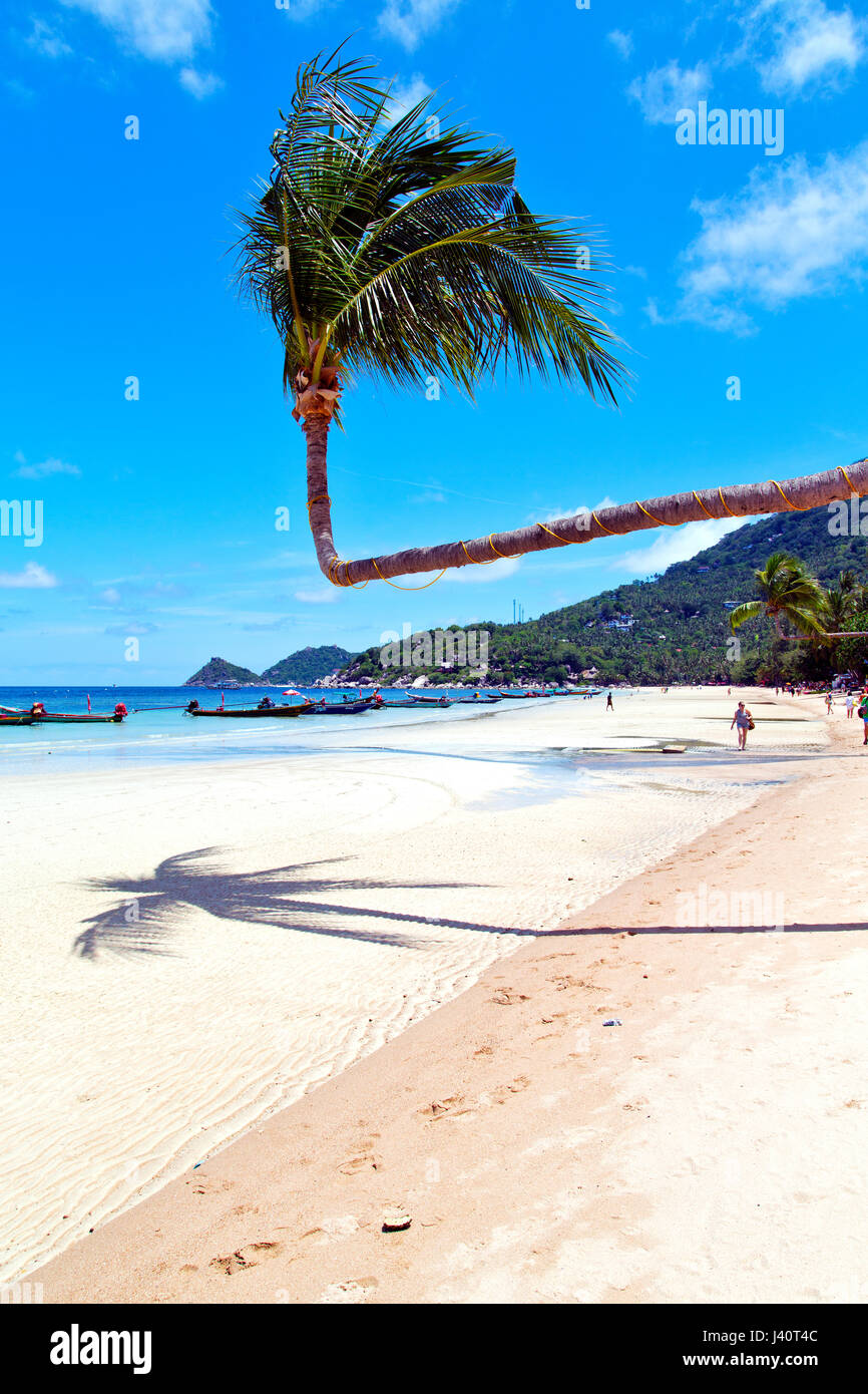 in kho tao thailand bay asia isle beach rocks pirogue palm and south ...