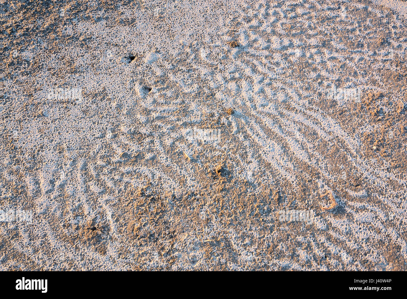 Salt patterns on the sand of the lake Stock Photo - Alamy