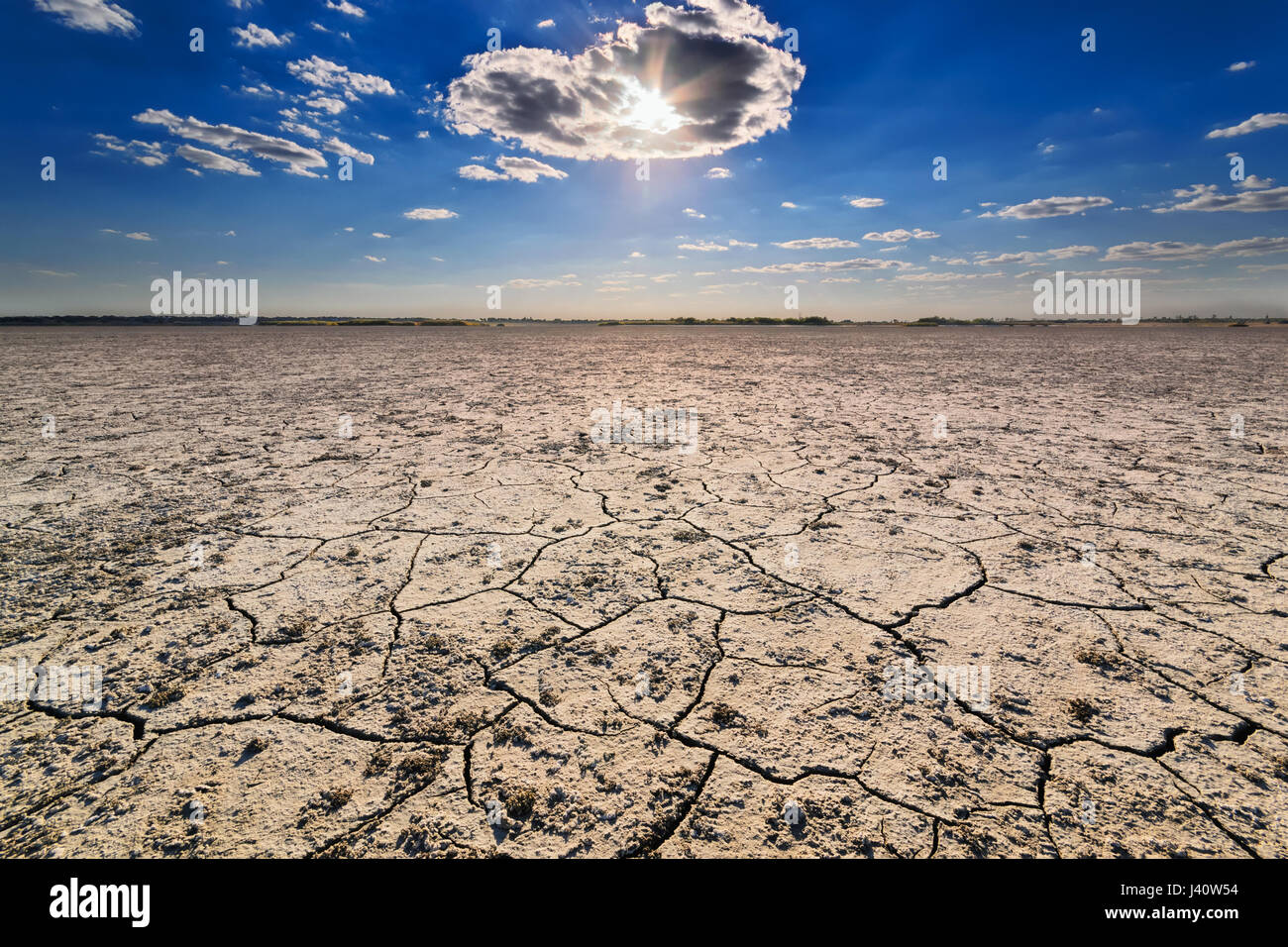 Closeup of dry cracked soil in a hot summer day Stock Photo - Alamy