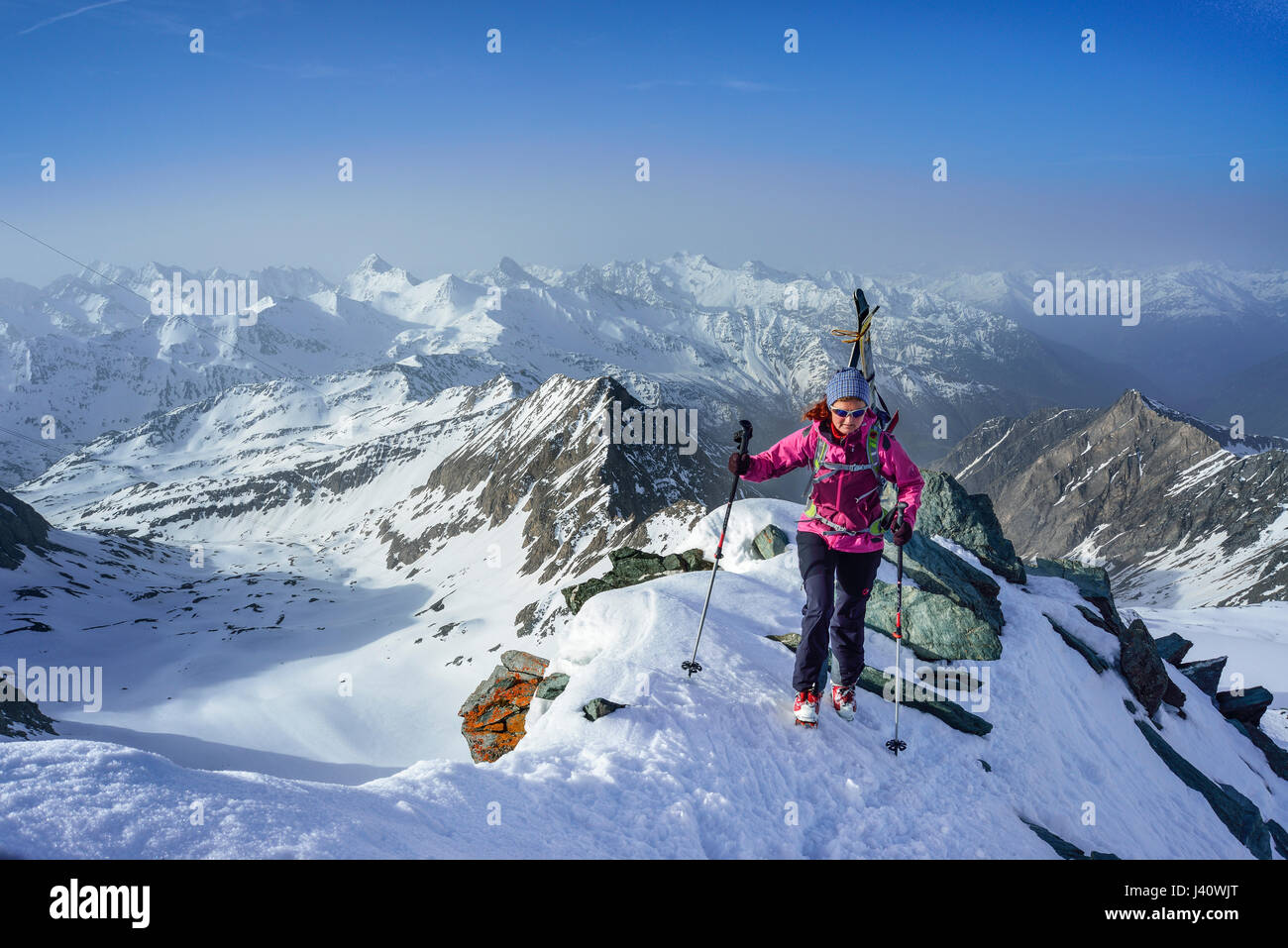 Female back-country skier ascending to Grossglockner, Glockner Group ...