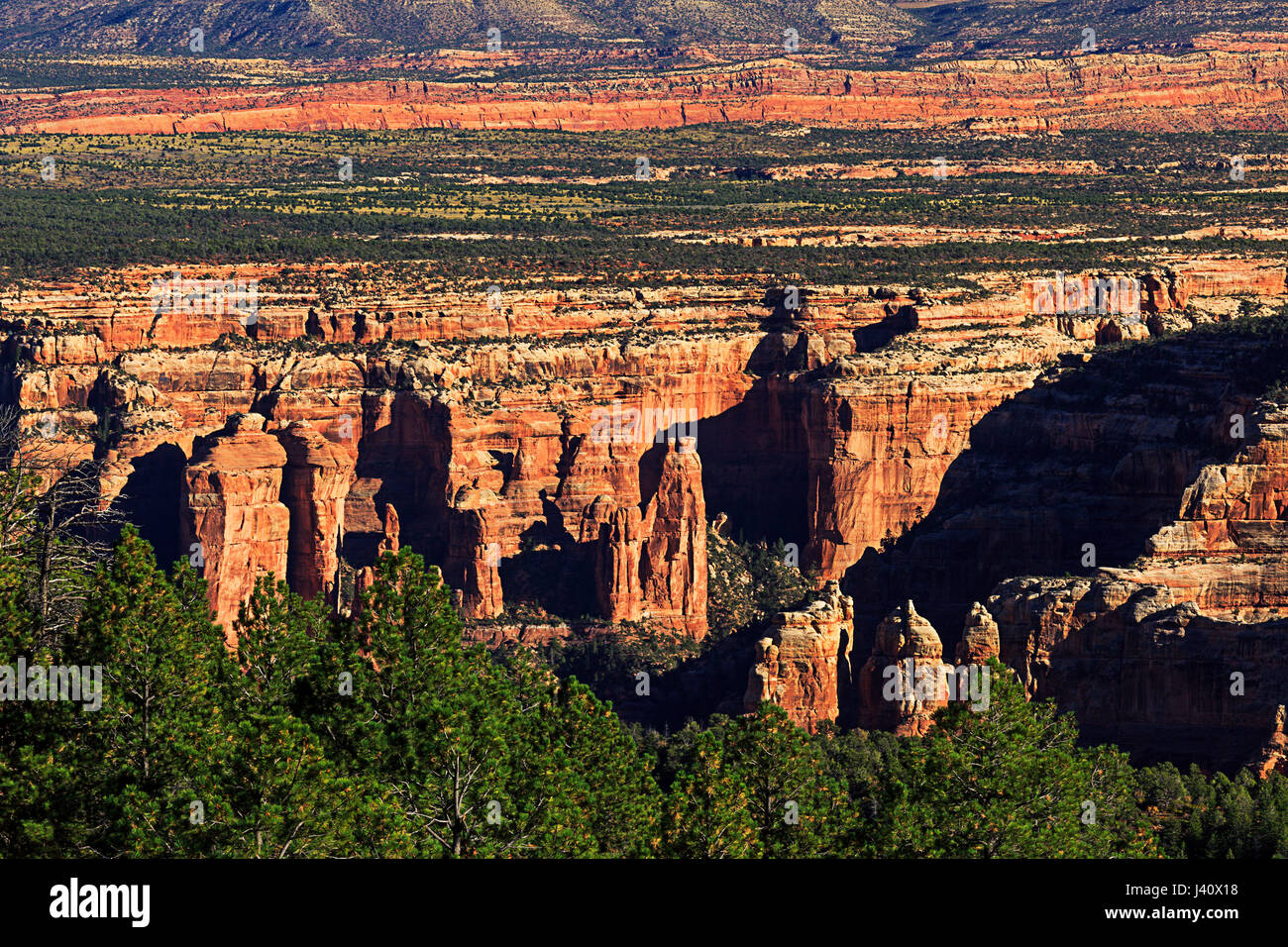 Arch Canyon as seen from the Arch Canyon Overlook along Elk Ridge Road ...