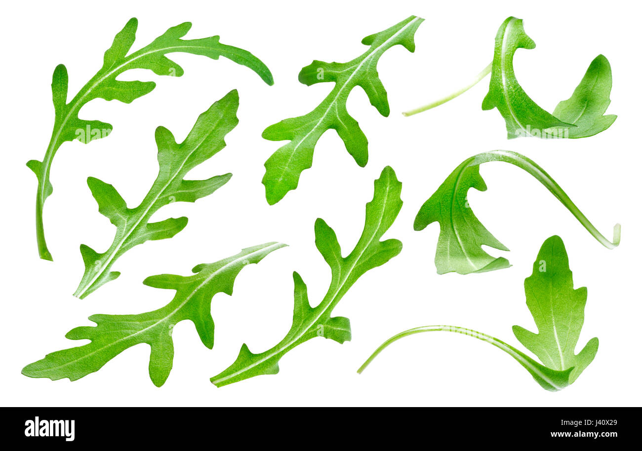 Ruccola leaf isolated on white background, single green arugula leaves ...