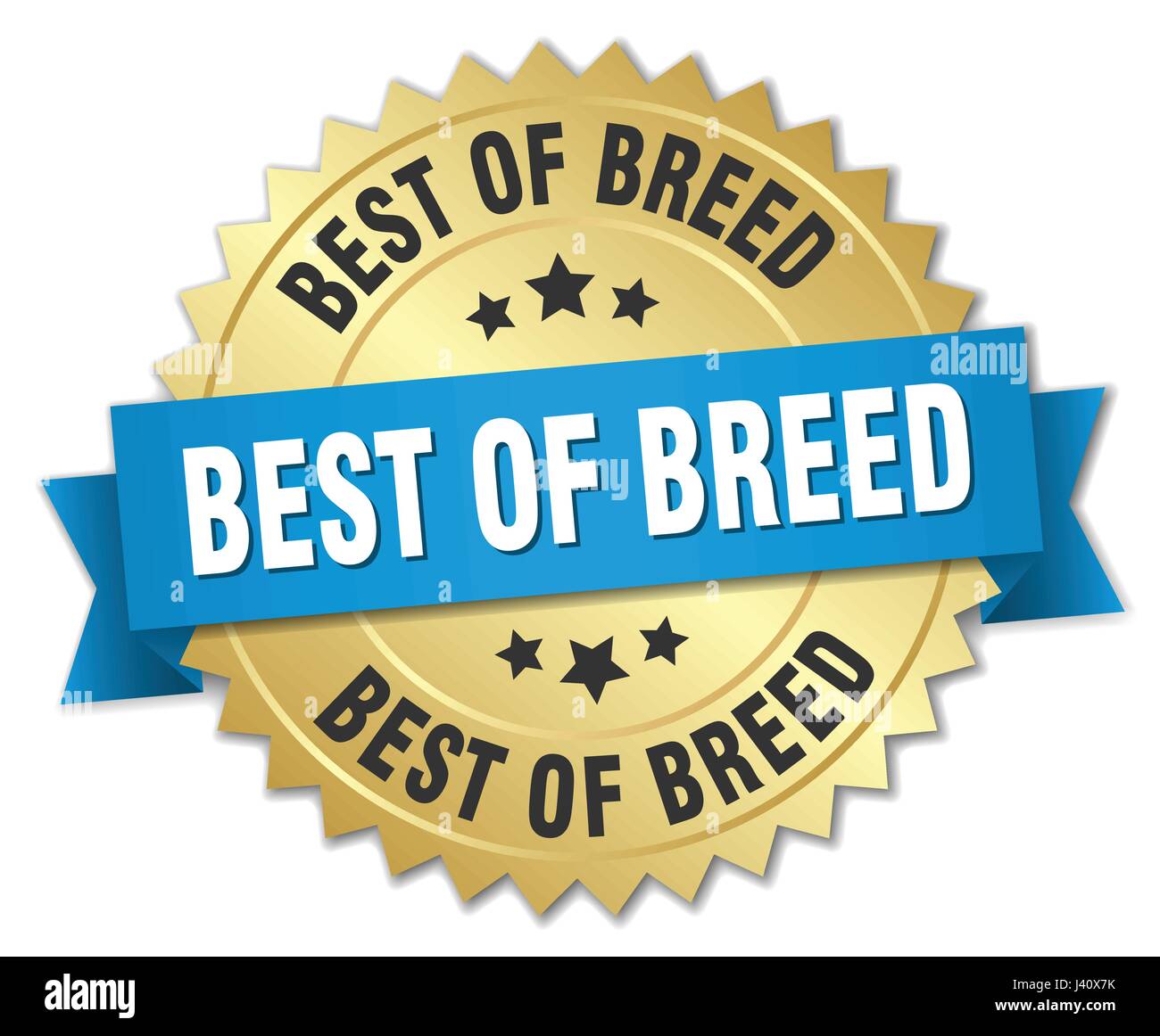 best of breed round isolated gold badge Stock Vector Image & Art - Alamy