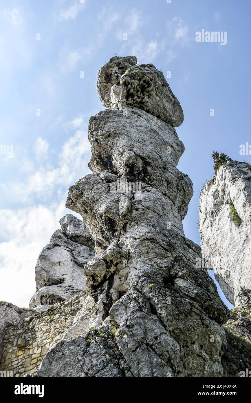 Jurassic park jura park in hi-res stock photography and images - Alamy