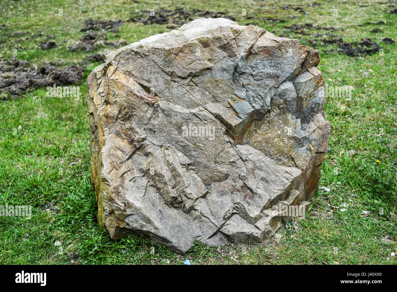 Big limestone in Polish jurrasic park on a grass Stock Photo - Alamy