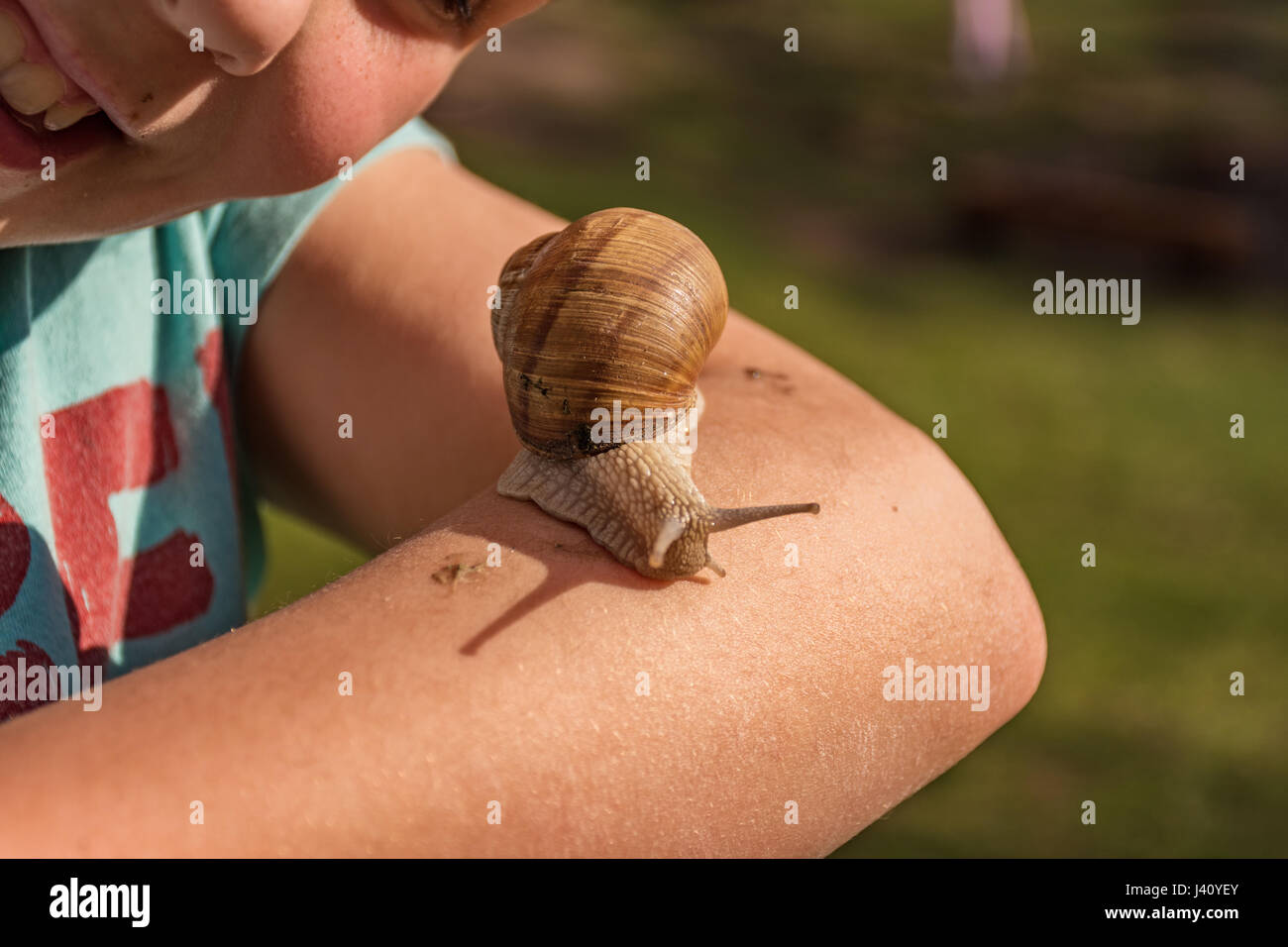Girl snail hi-res stock photography and images - Alamy