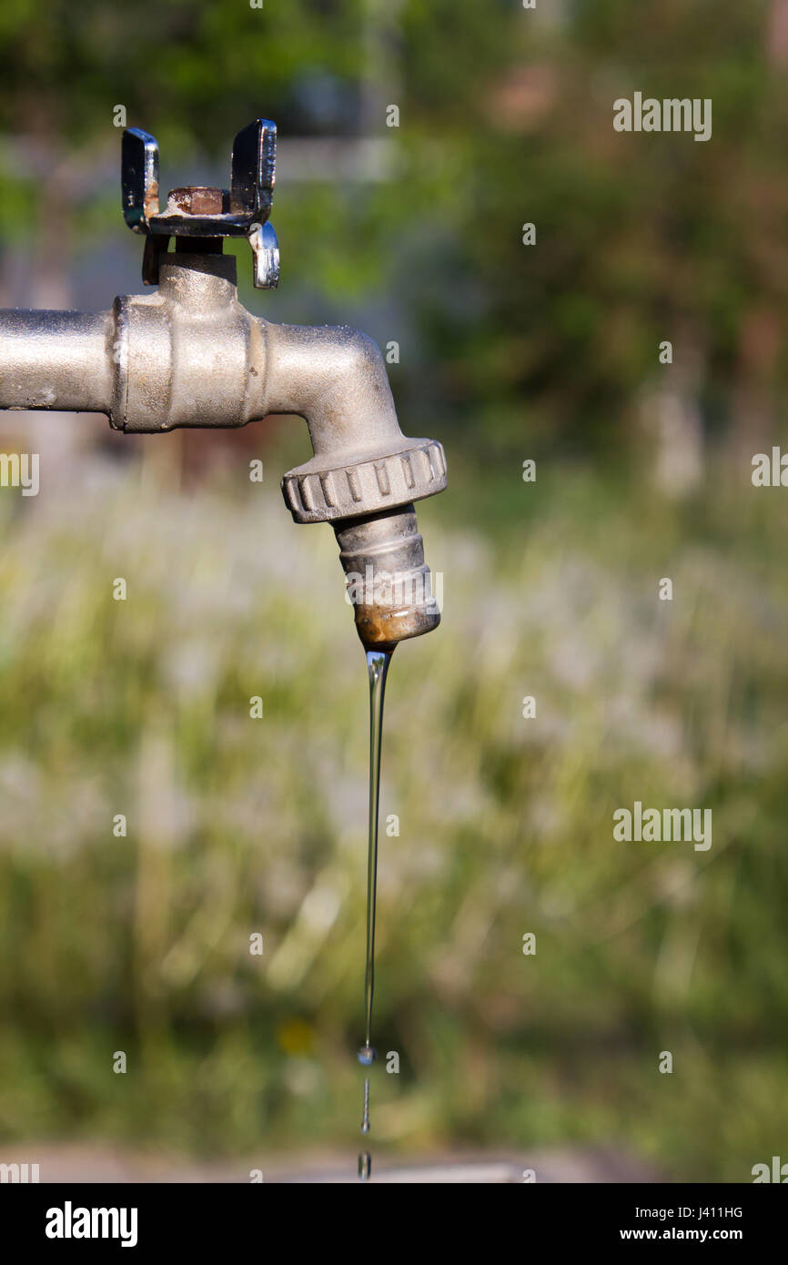 Brass water tap in nature background Stock Photo - Alamy