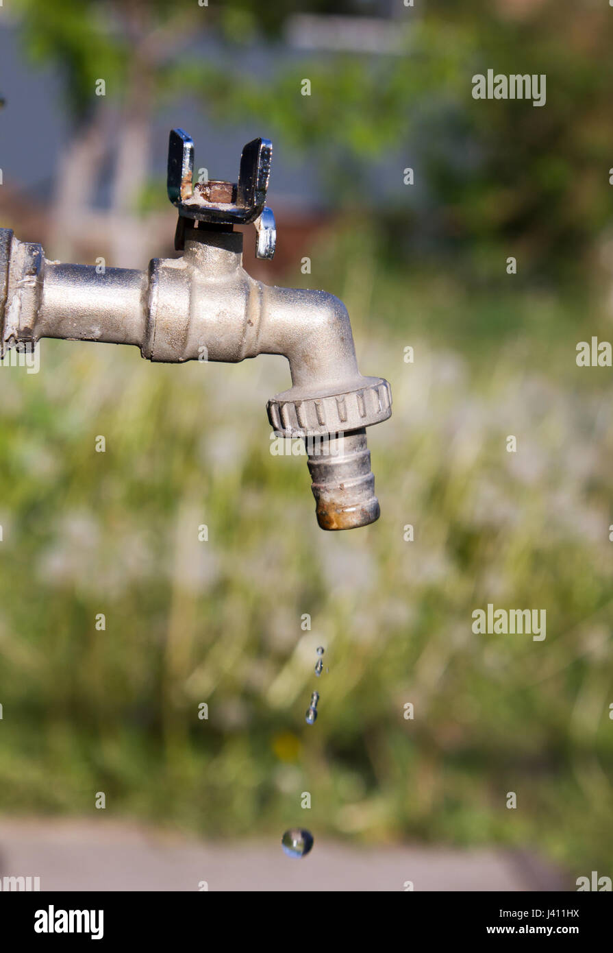 A old rusty water tap in garden Stock Photo - Alamy