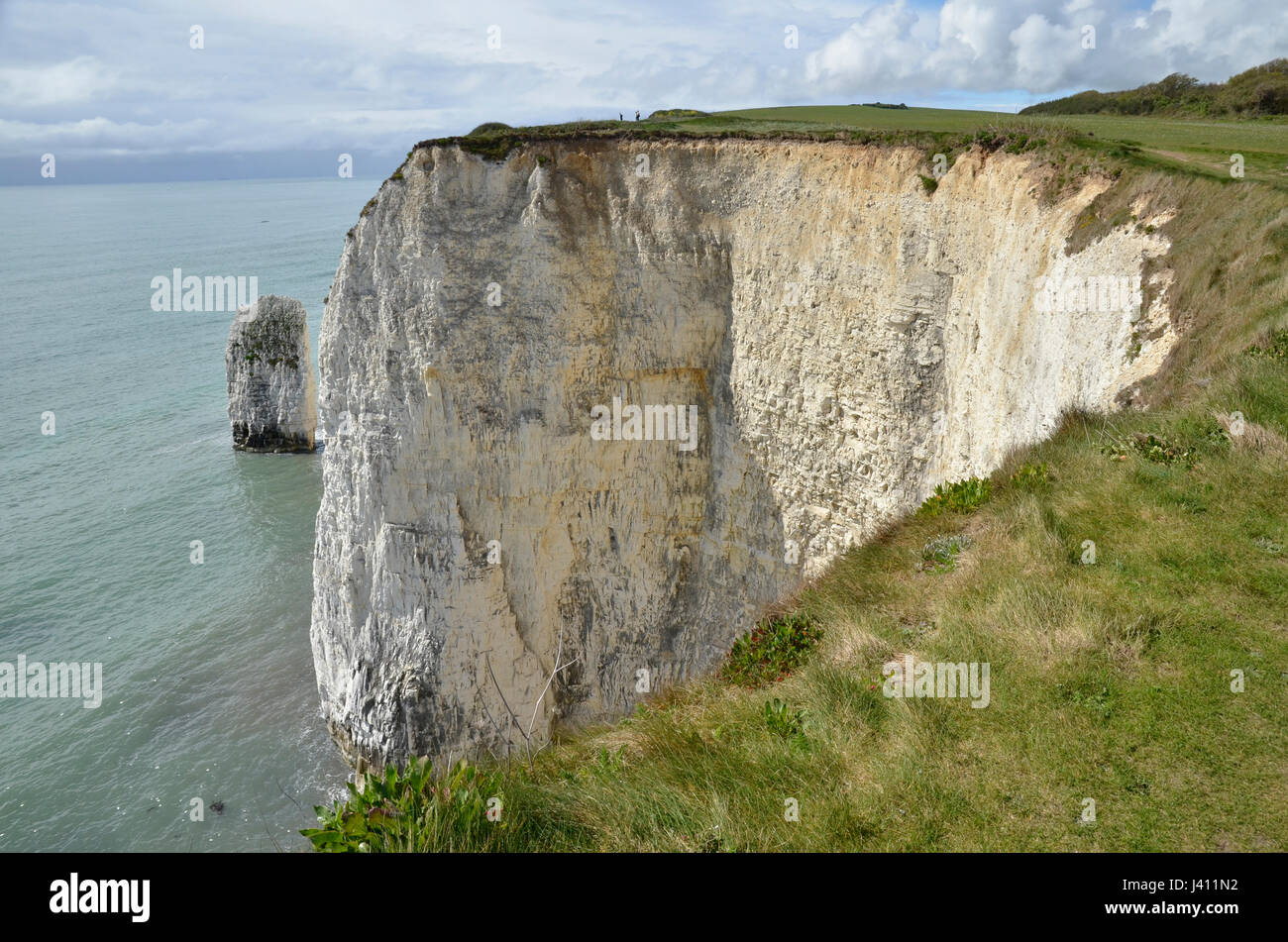 The Pinnacles, a series of chalk sea stacks off the Dorset coast at ...