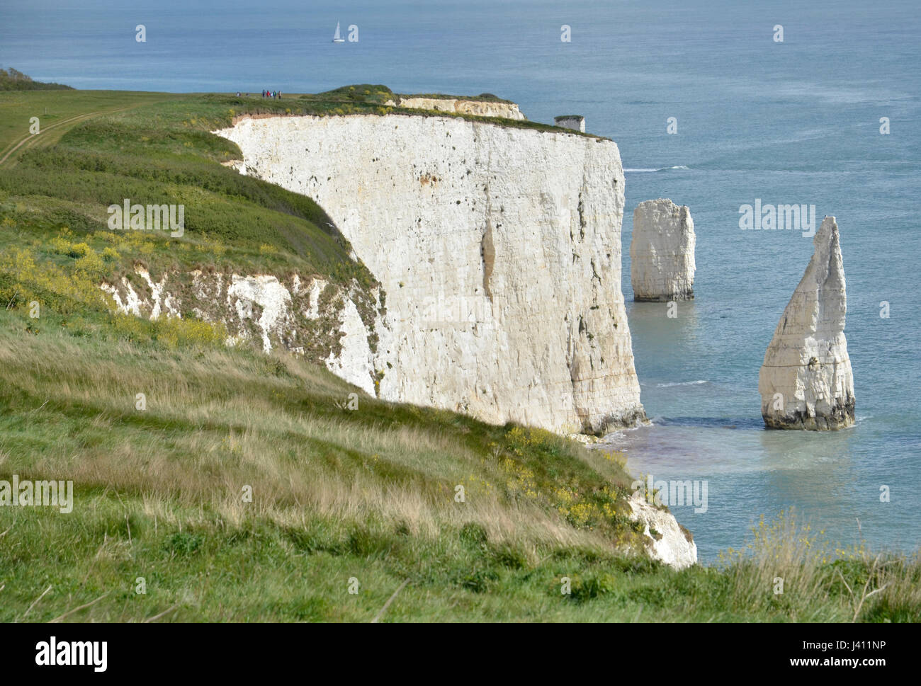 The Pinnacles, a series of chalk sea stacks off the Dorset coast at ...