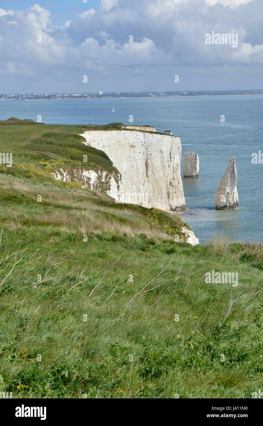 The Pinnacles, a series of chalk sea stacks off the Dorset coast at ...
