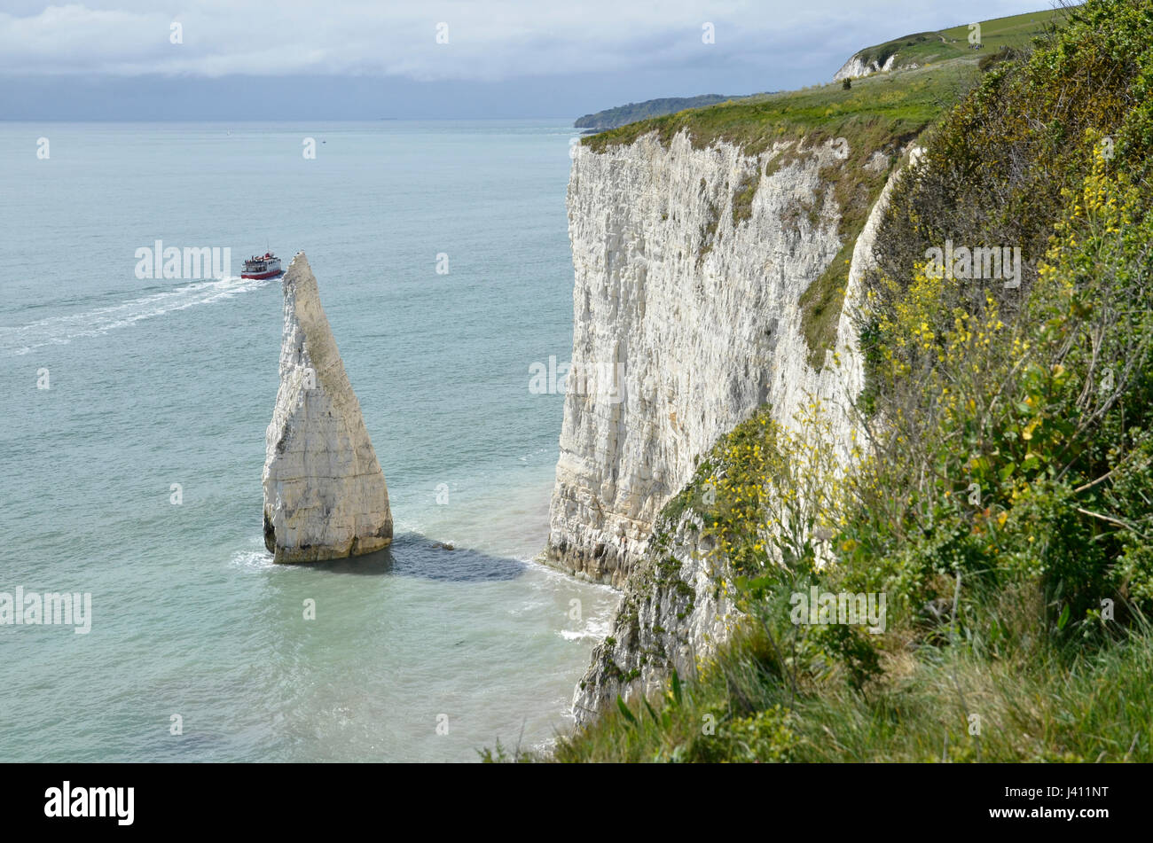 The Pinnacles, a series of chalk sea stacks off the Dorset coast at ...
