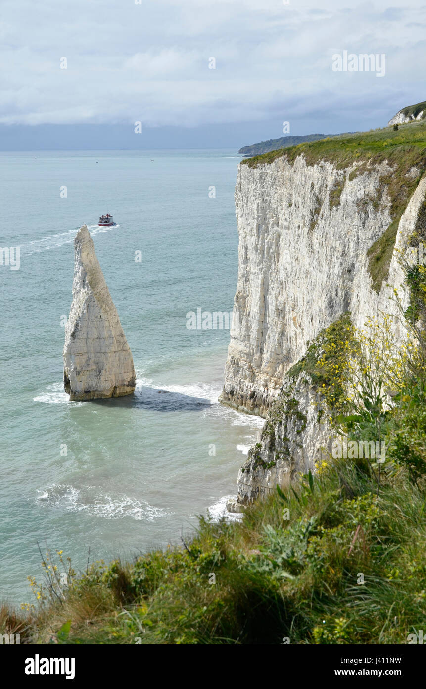 The Pinnacles, a series of chalk sea stacks off the Dorset coast at ...