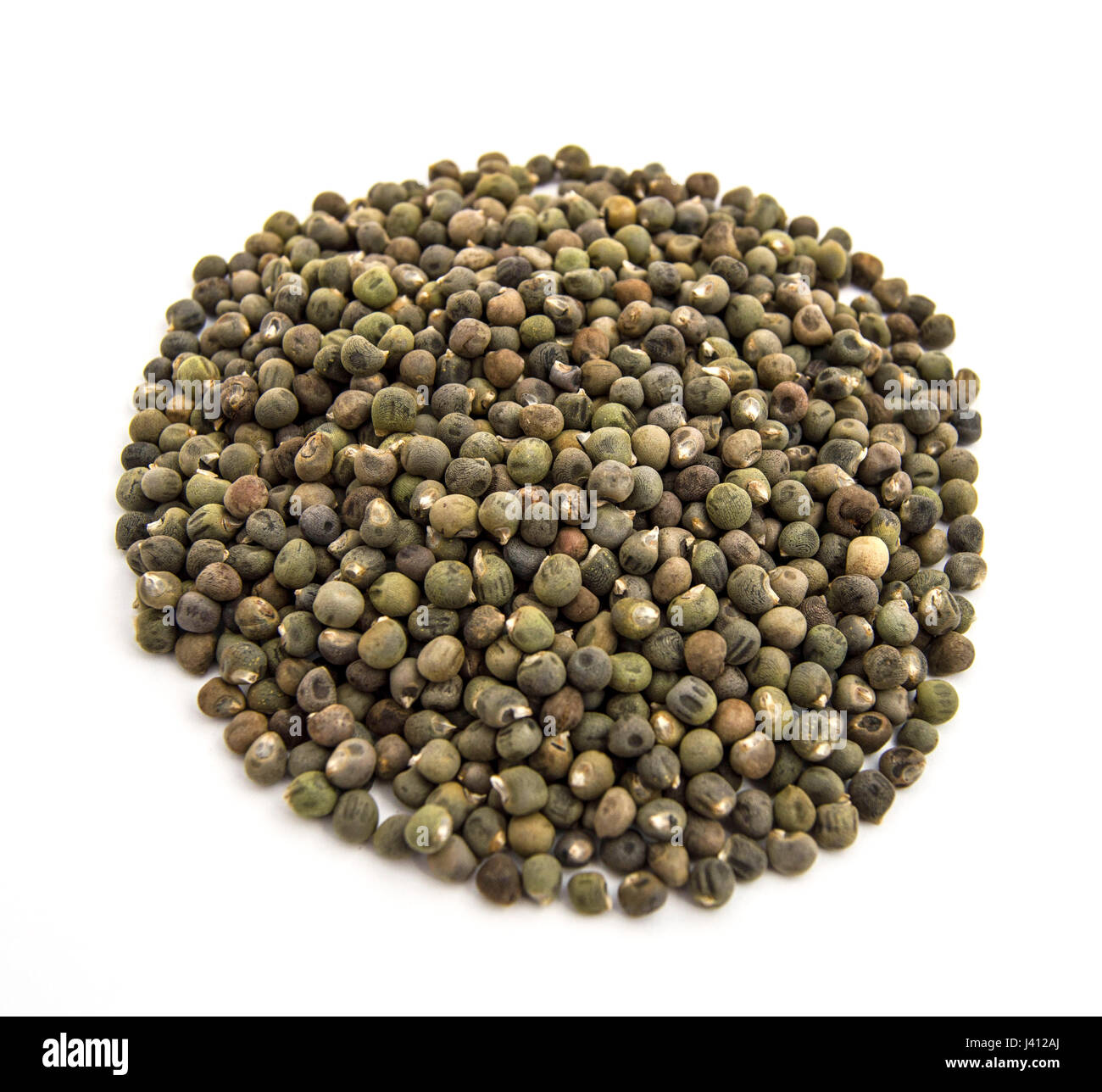Ready to plant very clearly with white back ground okra seeds, okra ...