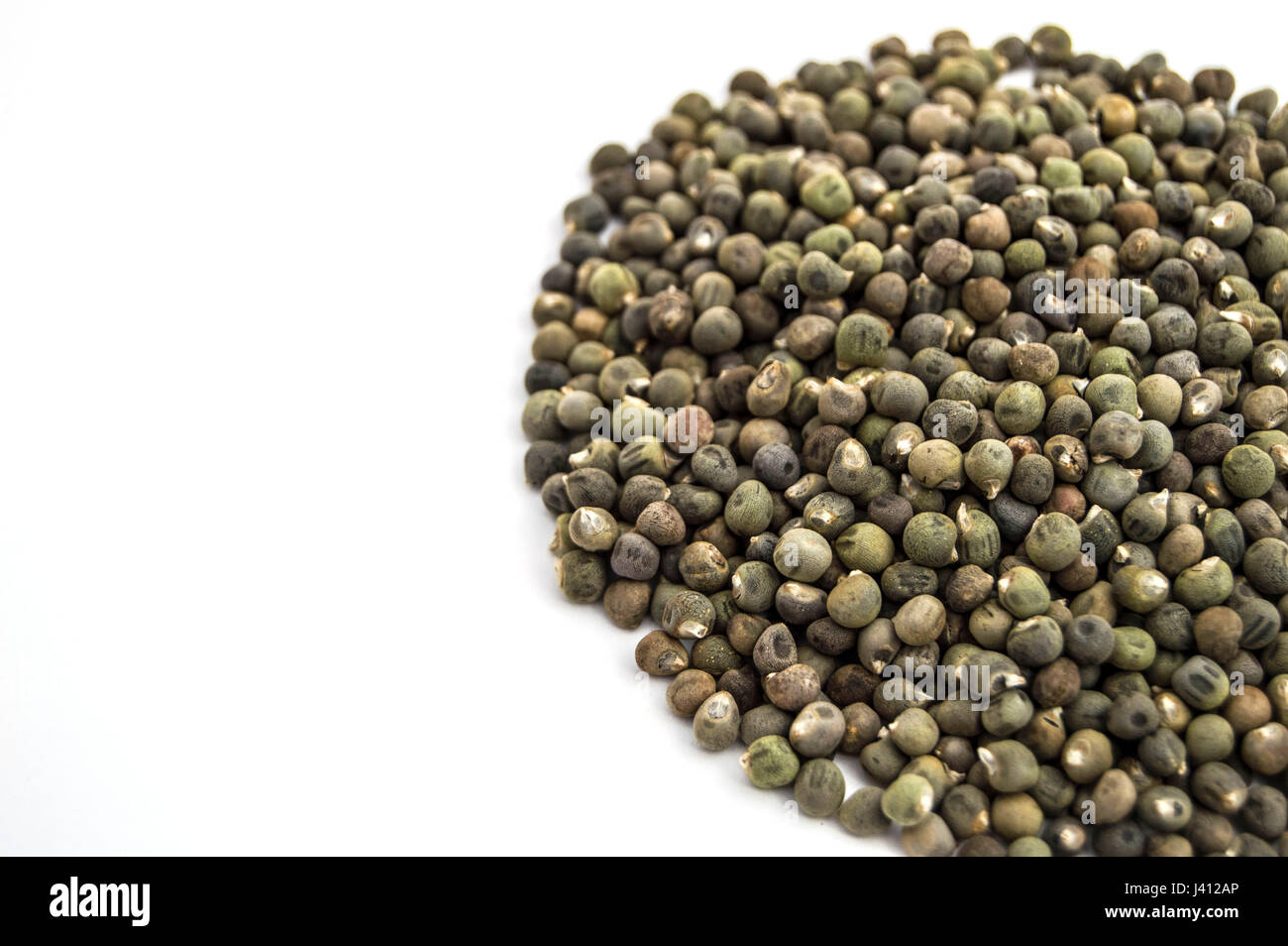 Ready to plant very clearly with white back ground okra seeds, okra ...