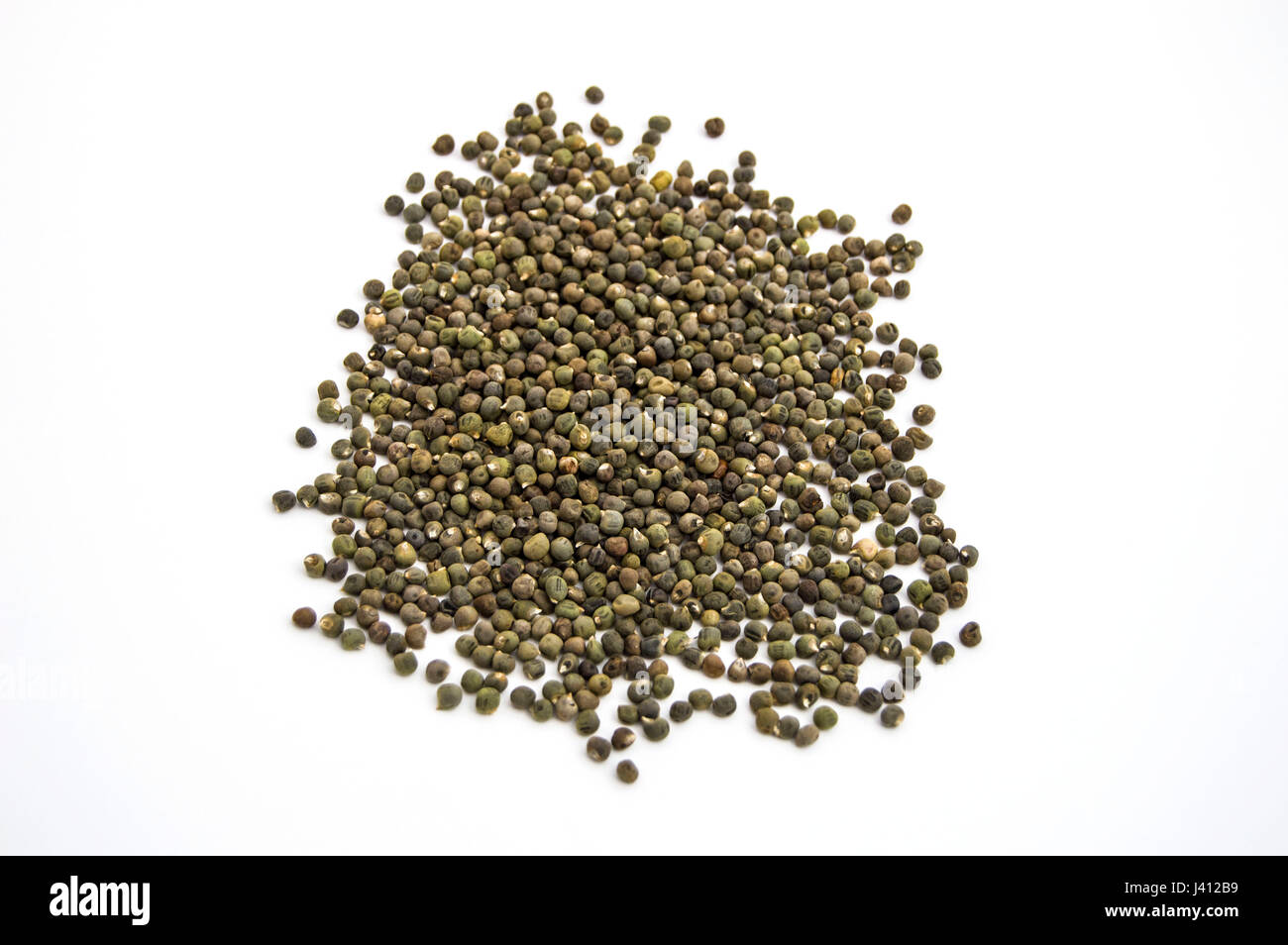 Ready to plant very clearly with white back ground okra seeds, okra ...
