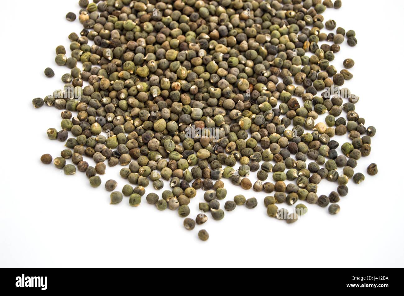 Ready to plant very clearly with white back ground okra seeds, okra ...