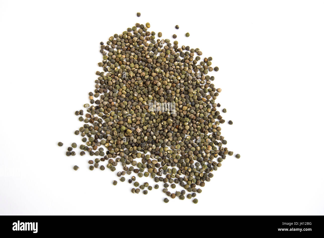 Ready to plant very clearly with white back ground okra seeds, okra ...