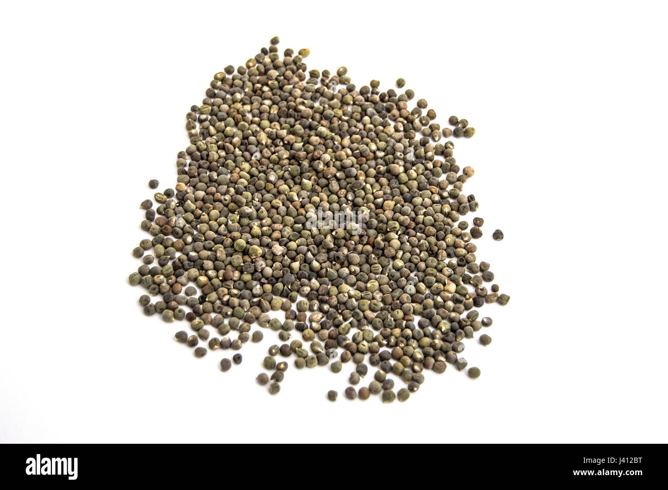 Ready to plant very clearly with white back ground okra seeds, okra ...
